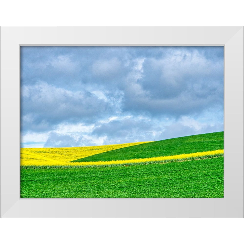 Eggers, Terry 18x14 White Modern Wood Framed Museum Art Print Titled ...