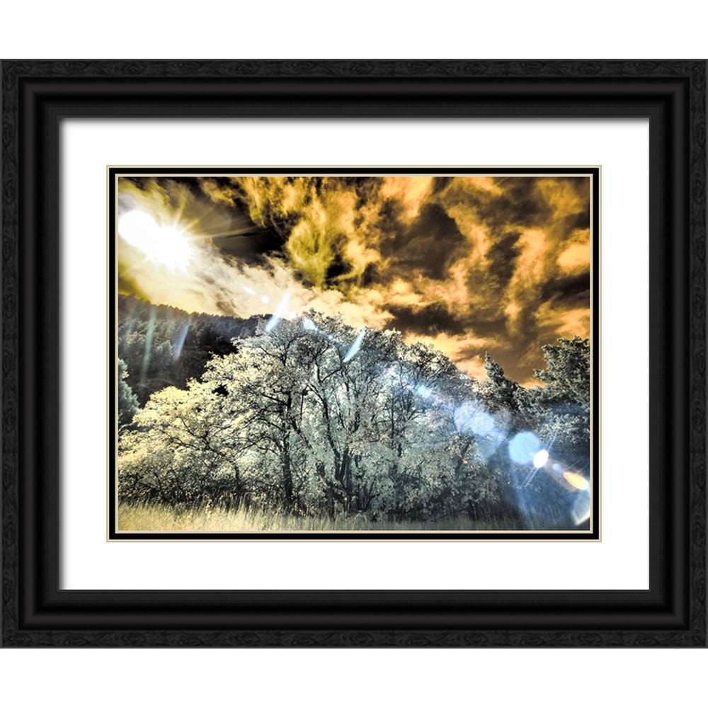 Eggers, Terry 18x15 Black Ornate Wood Framed with Double Matting Museum ...