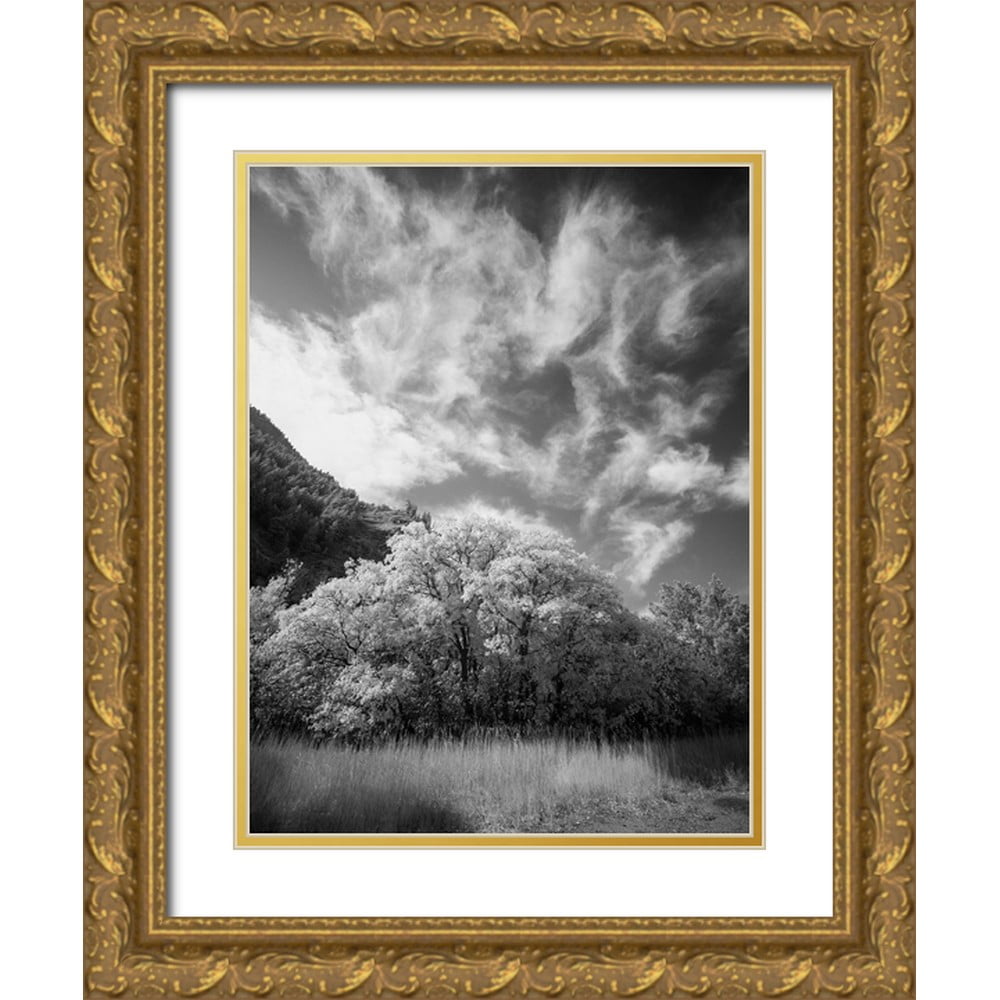 Eggers, Terry 19x24 Gold Ornate Wood Framed with Double Matting Museum ...