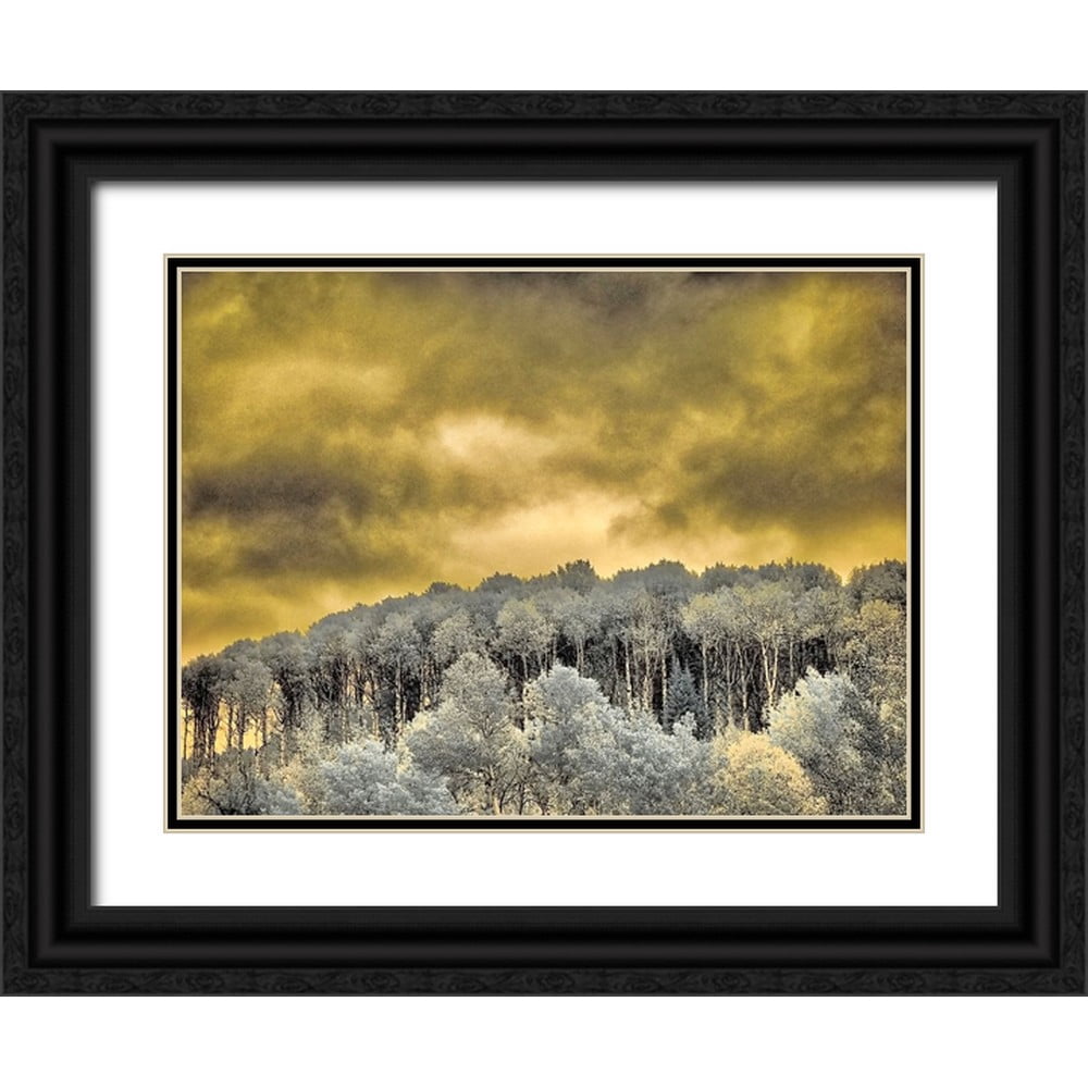 Eggers, Terry 24x19 Black Ornate Wood Framed with Double Matting Museum ...