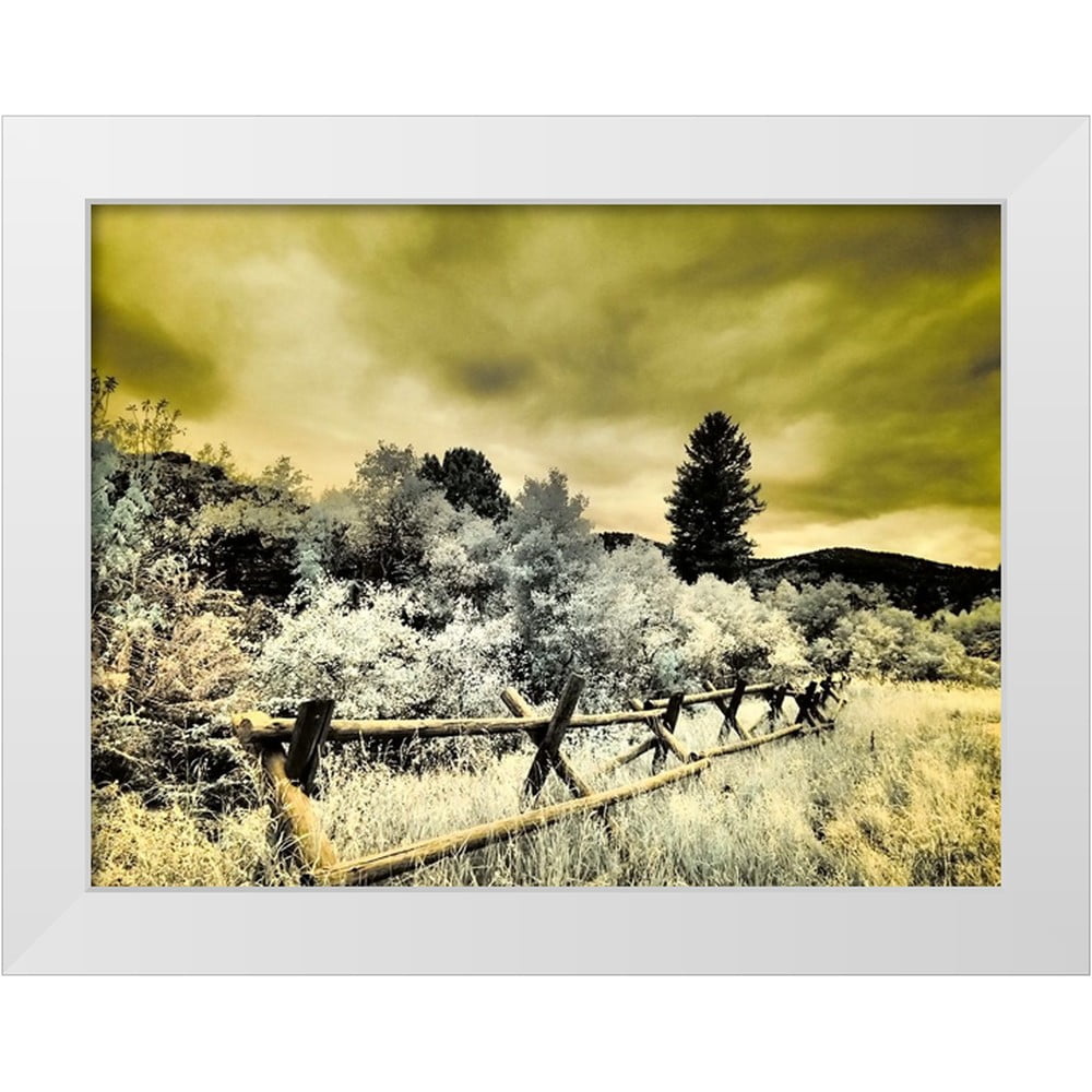 Eggers, Terry 24x19 White Modern Wood Framed Museum Art Print Titled ...