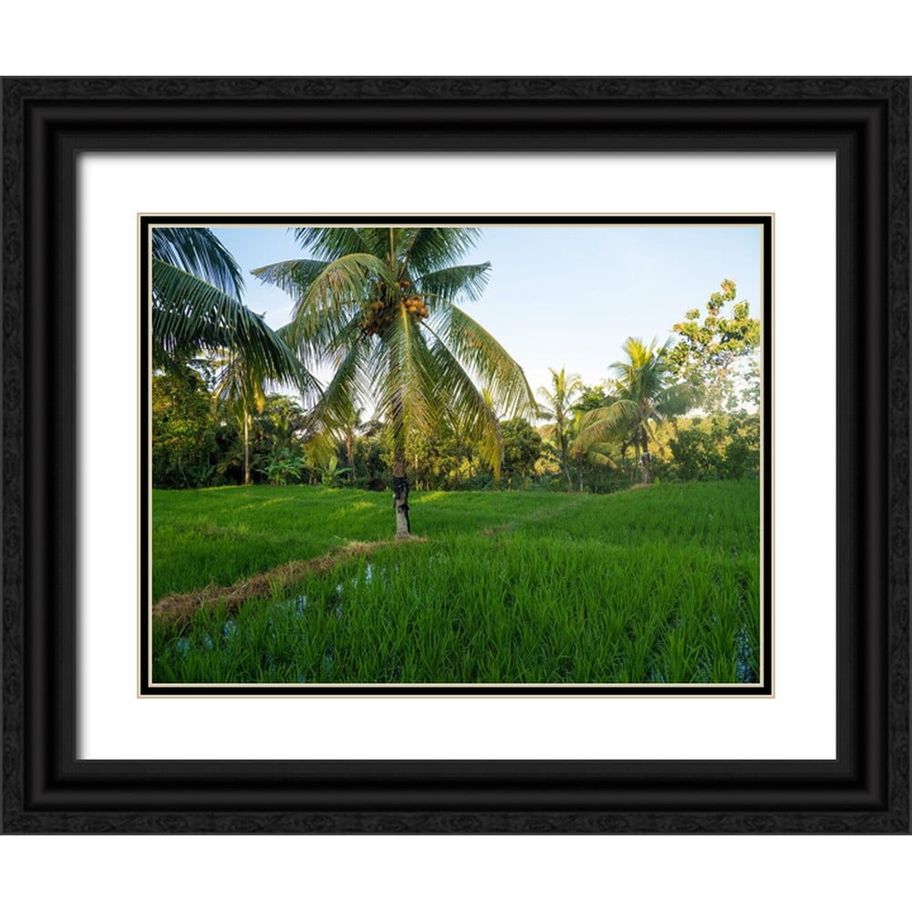 Eggers, Terry 32x25 Black Ornate Wood Framed with Double Matting Museum ...