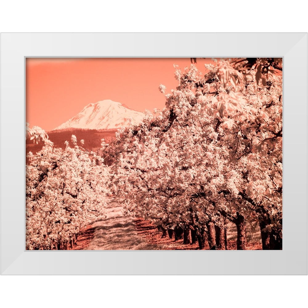 Eggers, Terry 32x25 White Modern Wood Framed Museum Art Print Titled ...