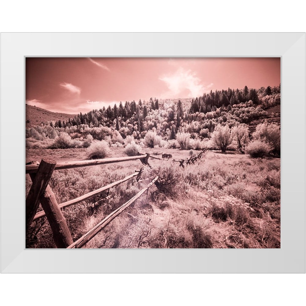 Eggers, Terry 32x25 White Modern Wood Framed Museum Art Print Titled ...