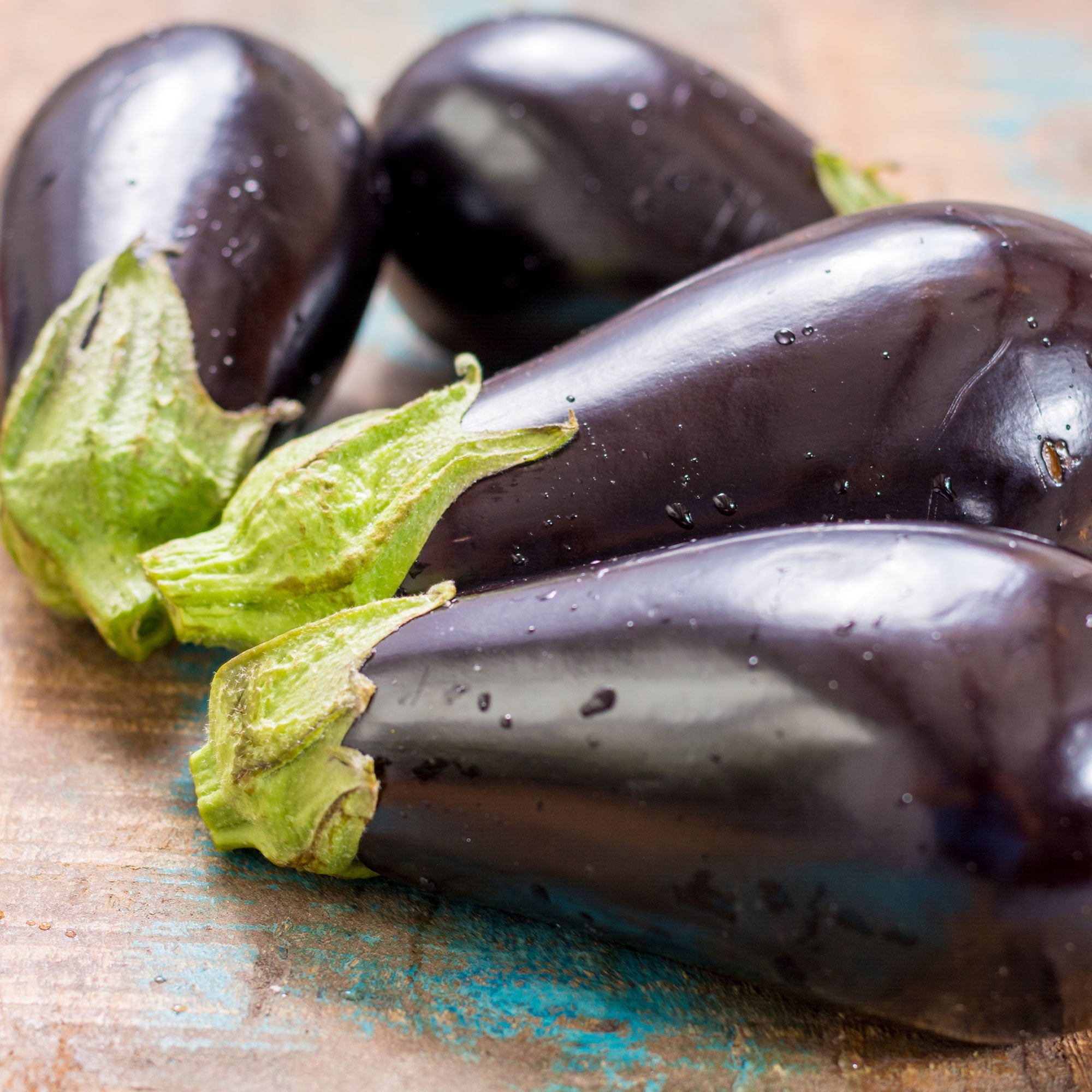 Eggplant Seeds - Florida Market - 2 Gram Packet ~400 Seeds - Solanum ...