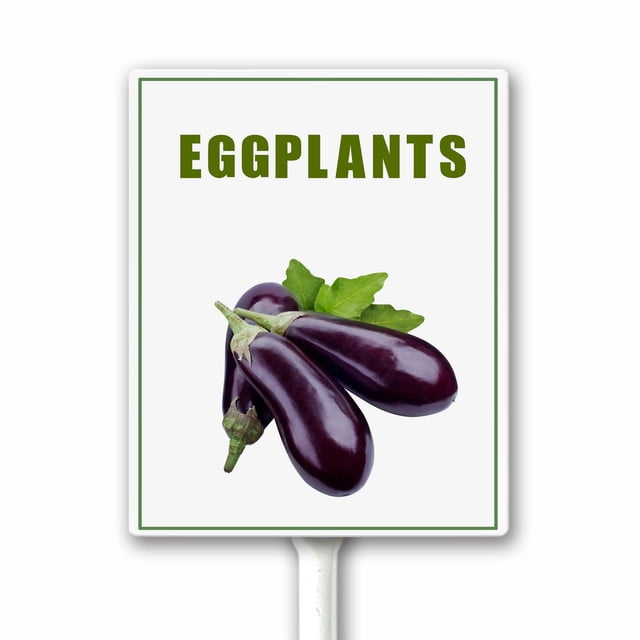 Eggplants Yard Sign & Stake Vegetable Signs For Garden Farm Fresh Sign ...