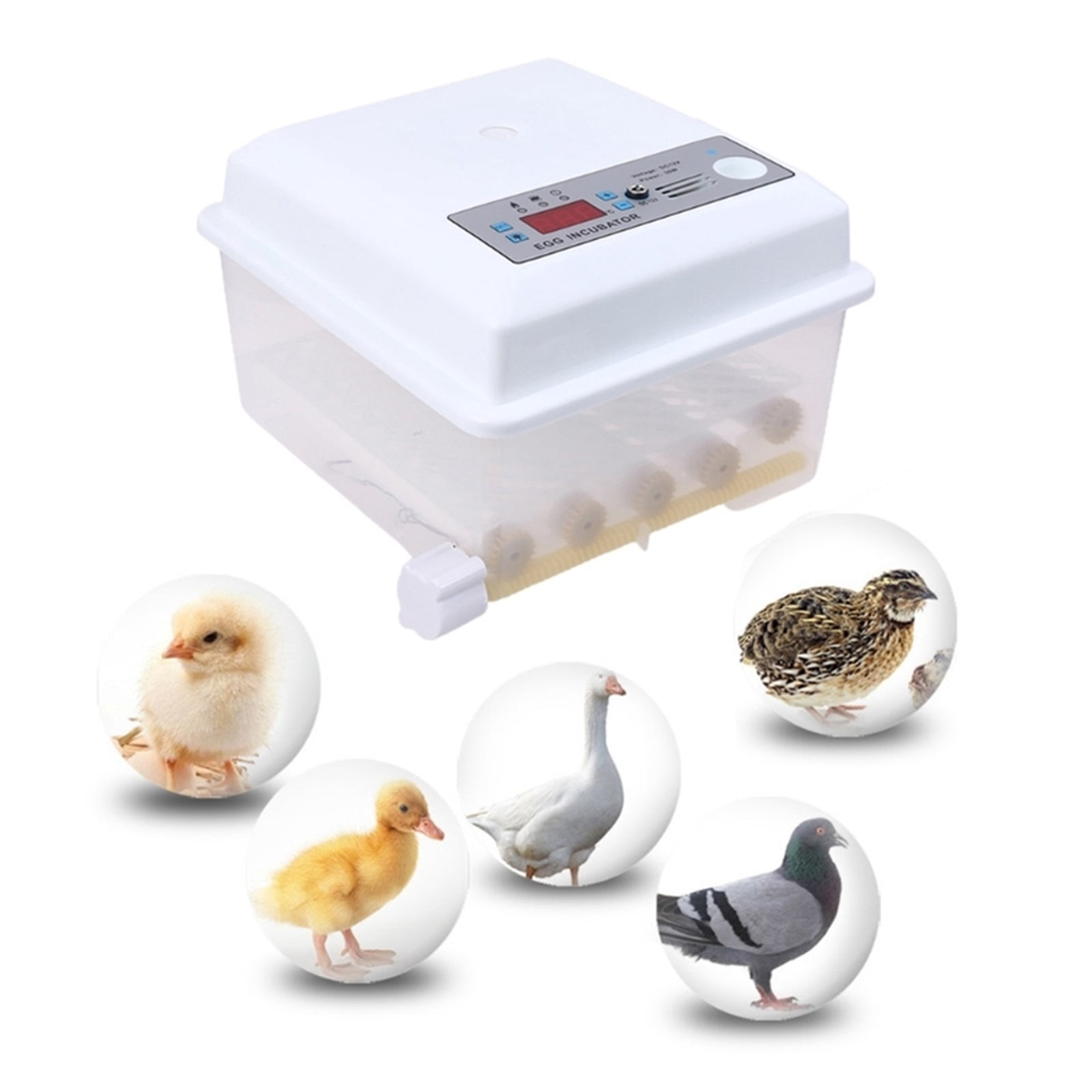 Eggs Incubator Brooder Automatic Farm Incubation Tools Bird Quail Chick ...