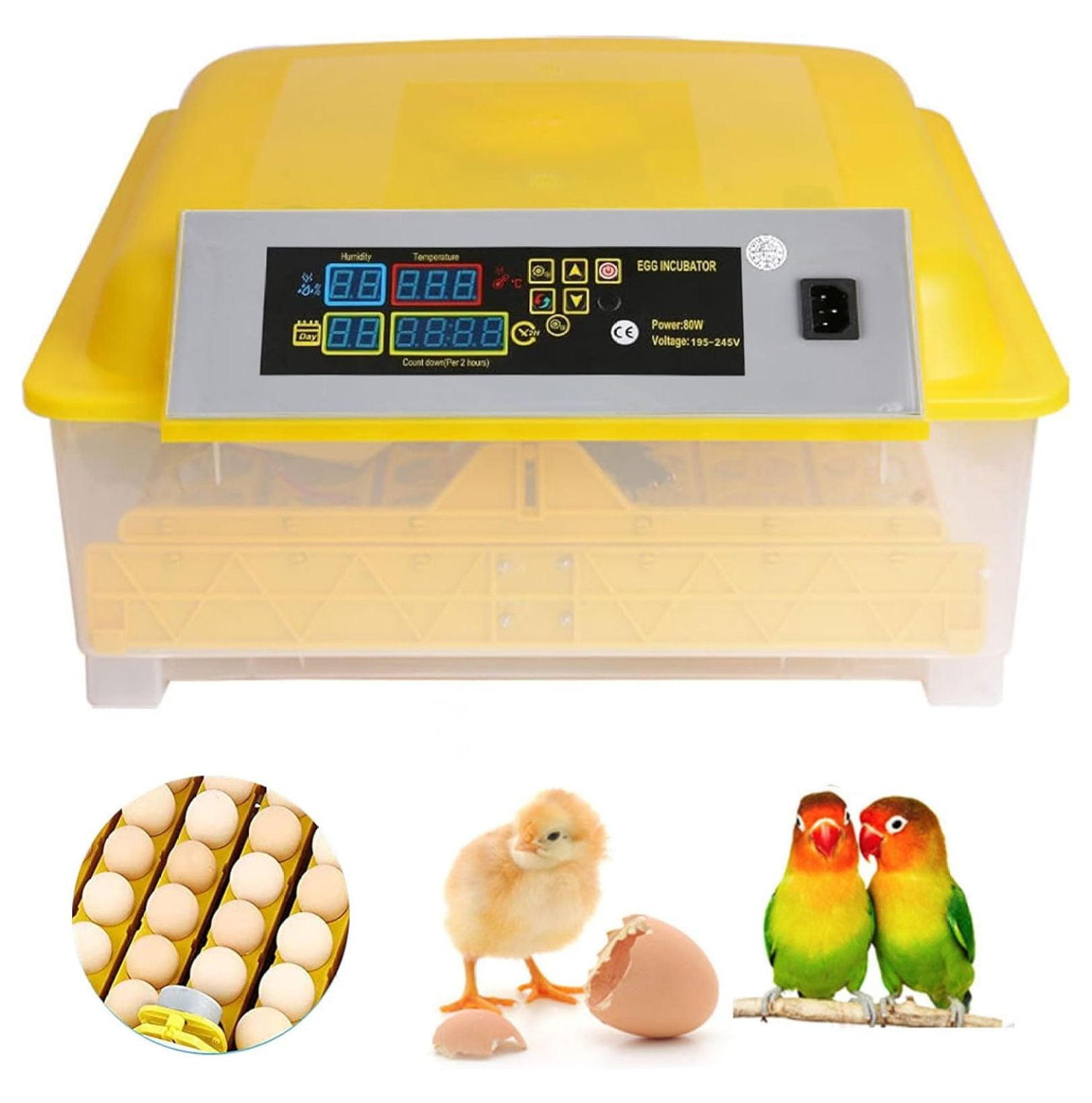 Eggs Incubator Digital Poultry Hatcher Machine with Automatic Egg ...