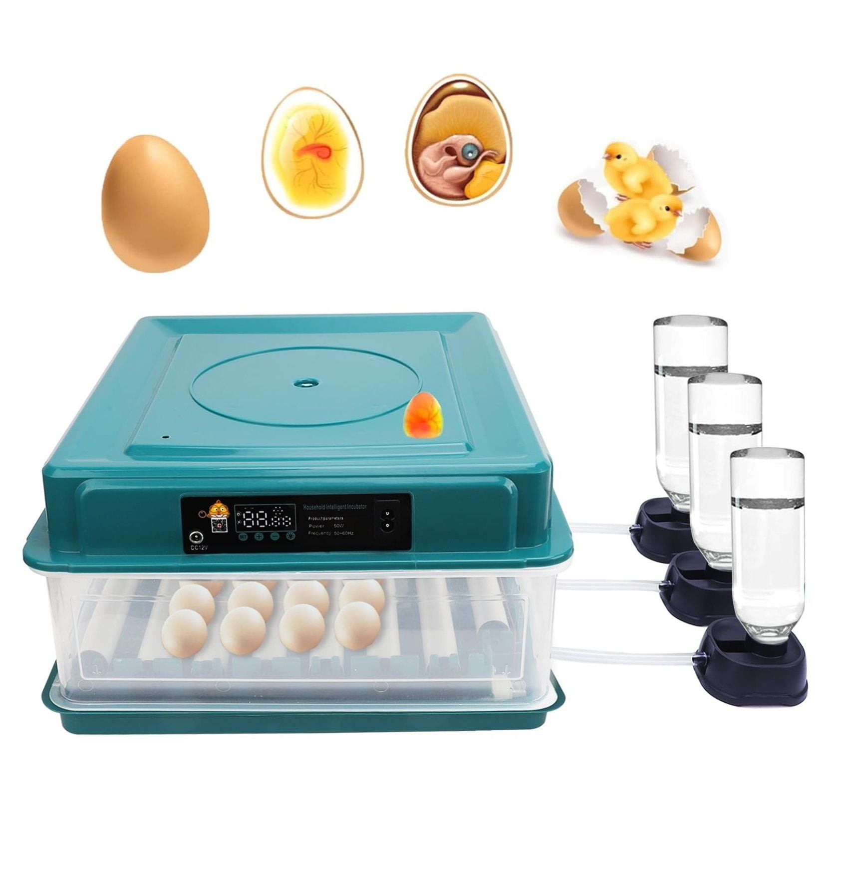 Eggs Incubator with Automatic Egg Turning,Temperature and Humidity ...