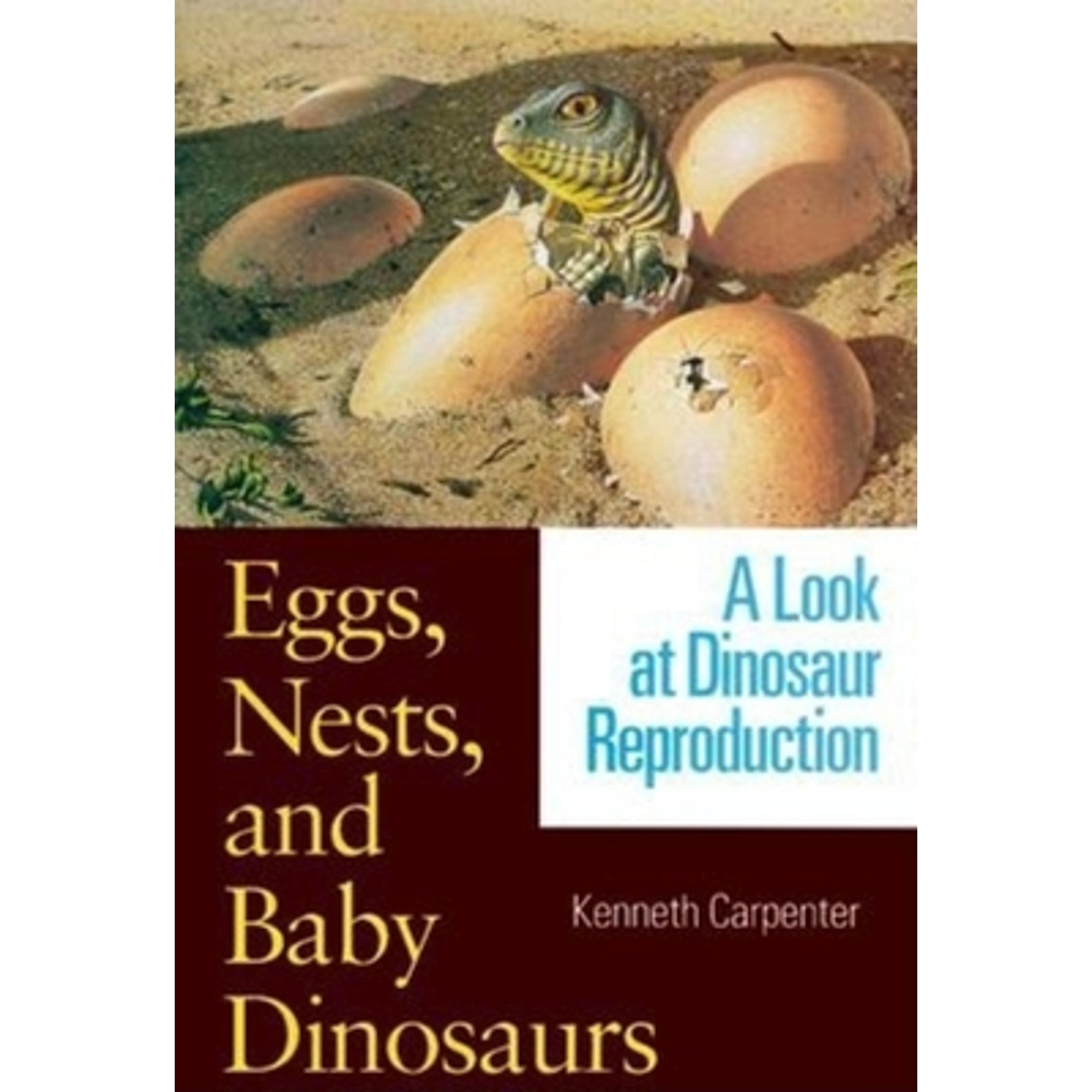 Pre-Owned Eggs, Nests, and Baby Dinosaurs: A Look at Dinosaur ...
