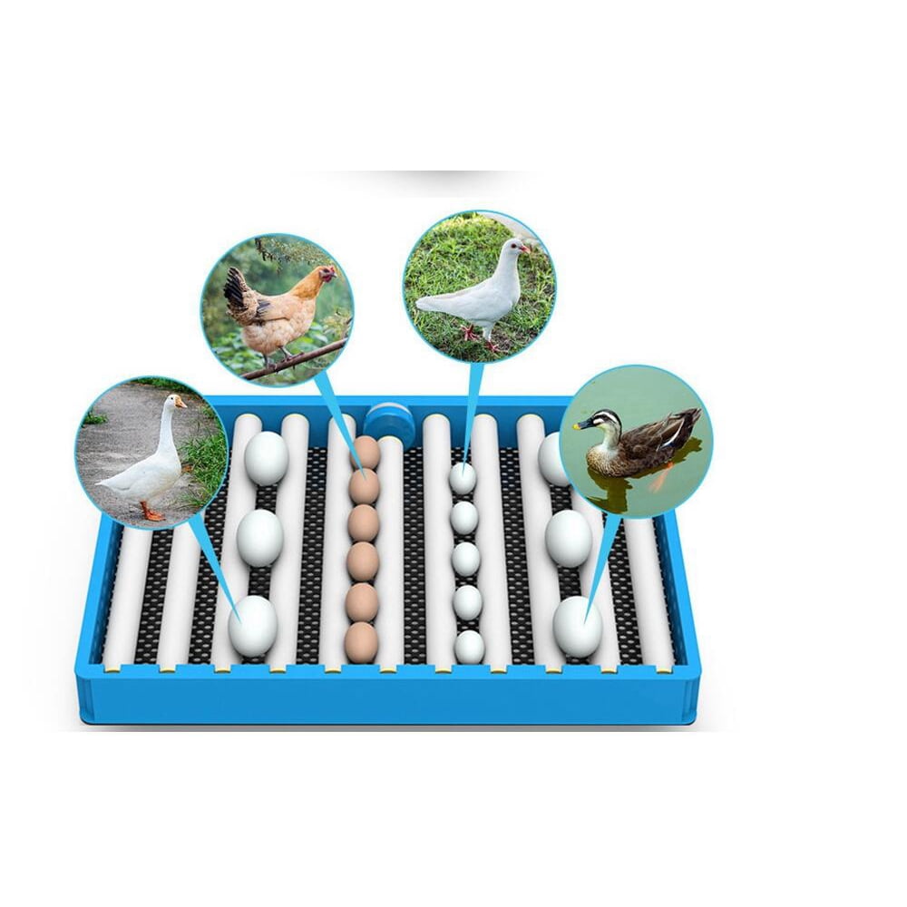 Eggs Trays Digital Egg Incubator Roller Hatcher Temperature Control ...