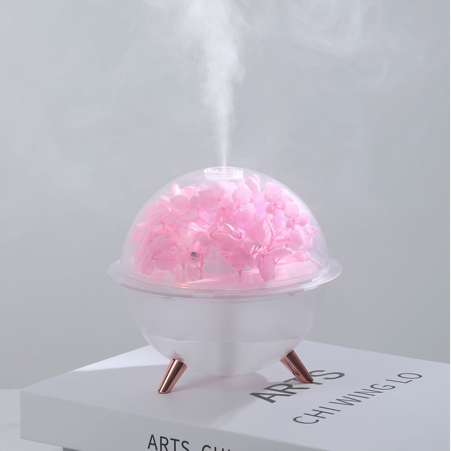 Egmy New Eternal Flower Humidifier, Light Hydrating Device Humidifier ...