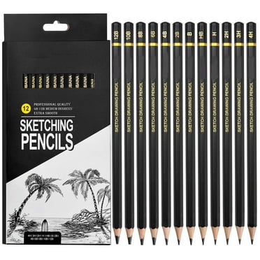 Pro Art Pencil Set Dry Media 10pc - Walmart.com