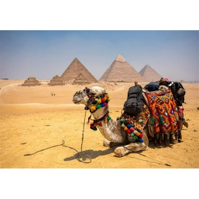 Egypt Desert Egyptian Sphinx Pyramid Ancient Egypt Scene Photography ...