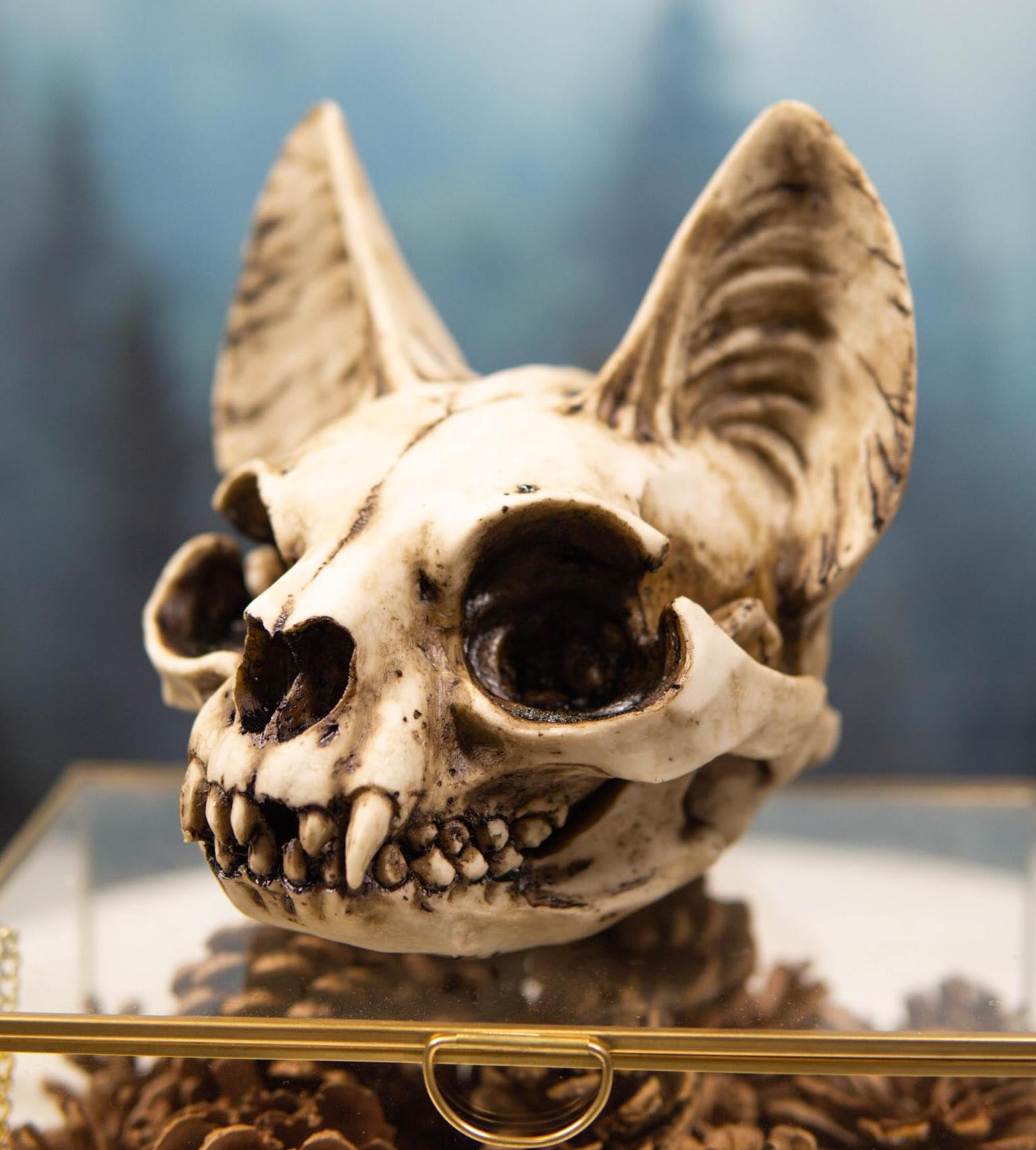 Egyptian Goddess of Protection And Home Bastet Cat Skull Statue Macabre ...