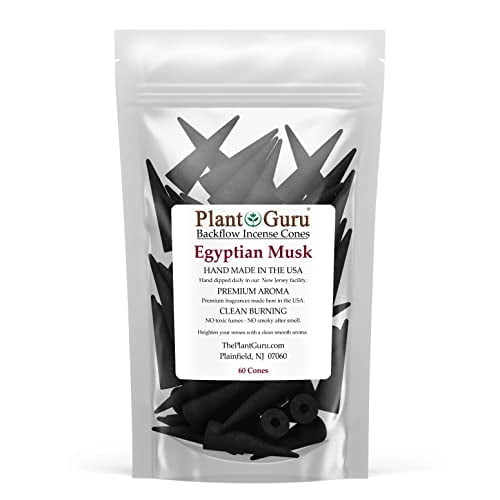 Egyptian Musk Charcoal Incense Cones 2" 60 Pack Bulk Natural Scented ...