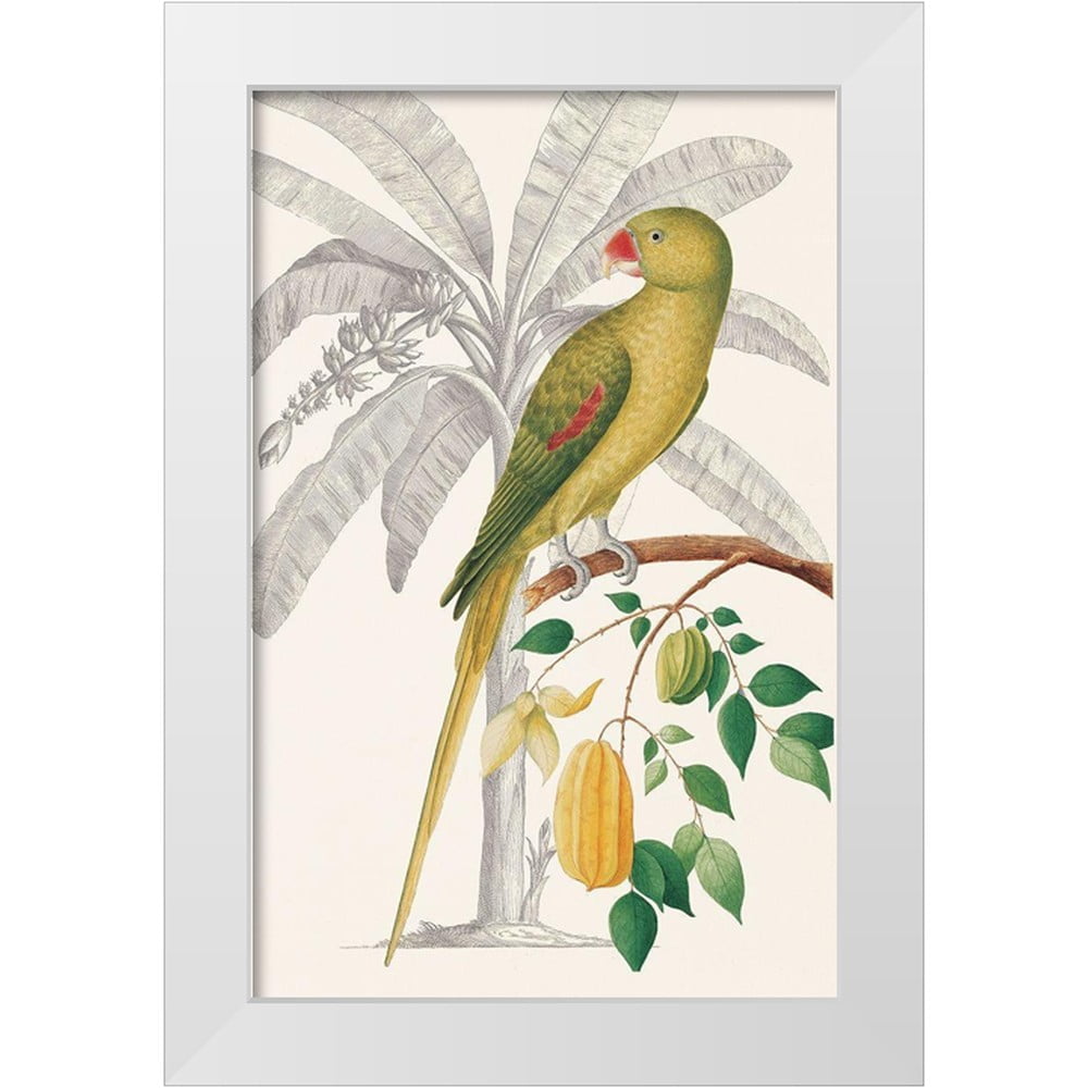 Ehret-De Bevere 10x14 White Modern Wood Framed Museum Art Print Titled ...