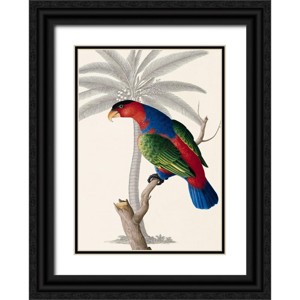 Ehret-De Bevere 11x14 Black Ornate Wood Framed with Double Matting ...