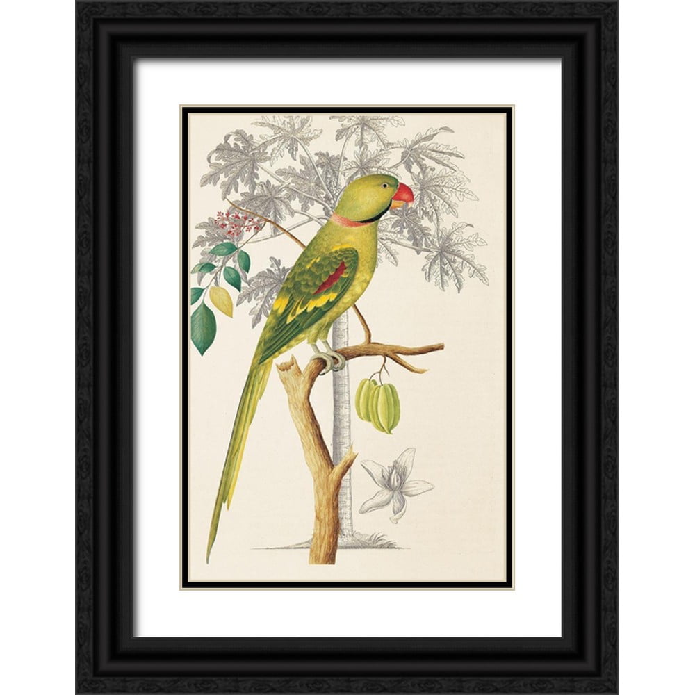 Ehret-De Bevere 11x14 Black Ornate Wood Framed with Double Matting ...