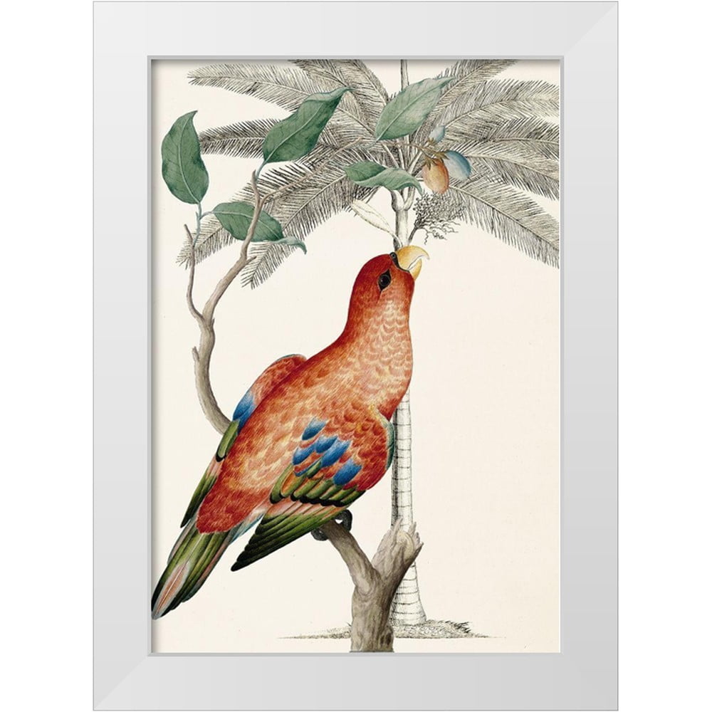 Ehret-De Bevere 11x14 White Modern Wood Framed Museum Art Print Titled ...