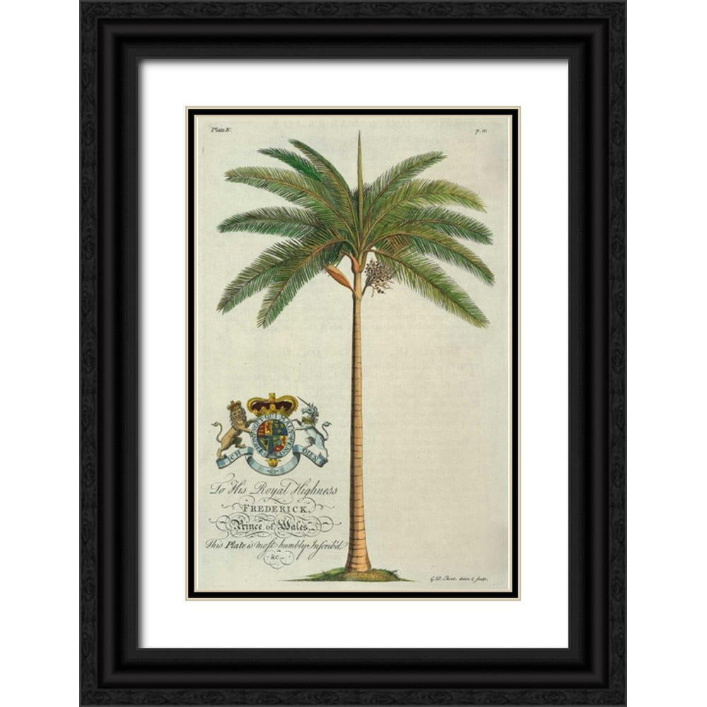 Ehret, Georg 11x14 Black Ornate Wood Framed with Double Matting Museum ...