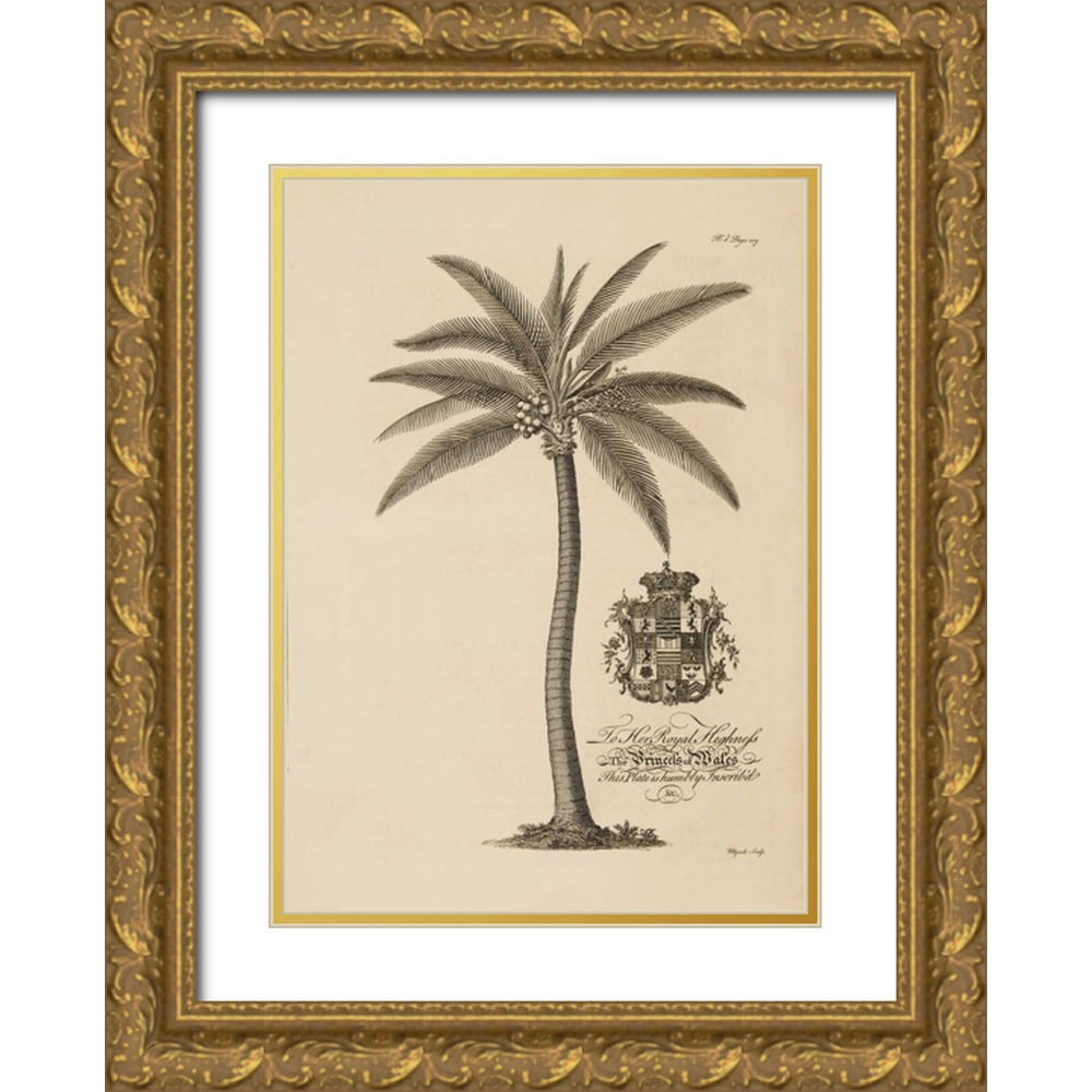 Ehret, Georg 18x24 Gold Ornate Wood Framed with Double Matting Museum ...