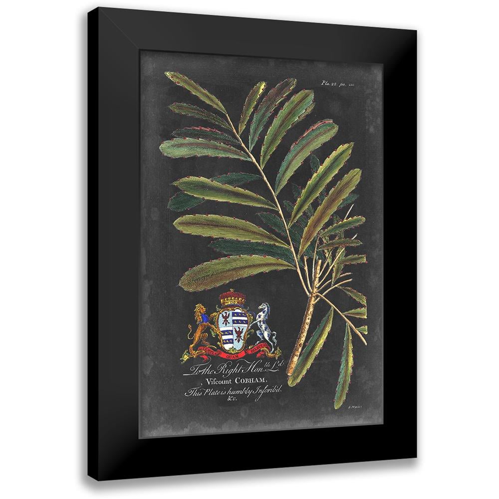 Ehret, George 17x24 Black Modern Framed Museum Art Print Titled ...