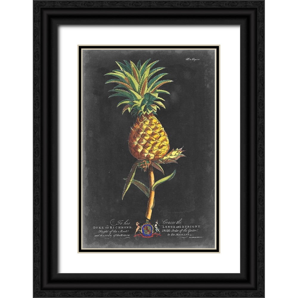 Ehret, George 17x24 Black Ornate Wood Framed with Double Matting Museum ...