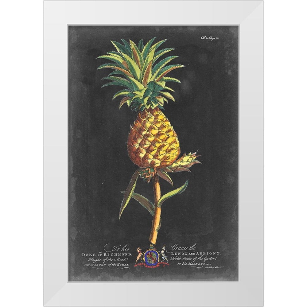 Ehret, George 23x32 White Modern Wood Framed Museum Art Print Titled ...