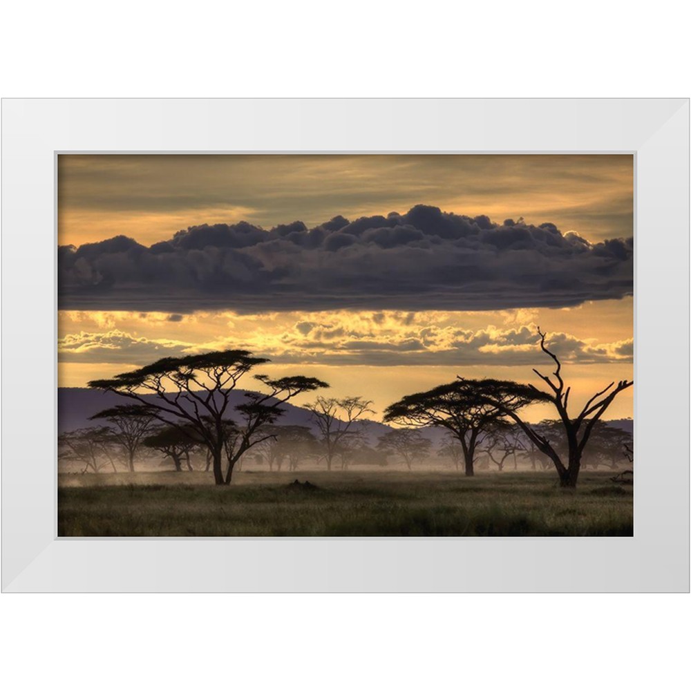 Eichelberg, Amnon 18x13 White Modern Wood Framed Museum Art Print ...