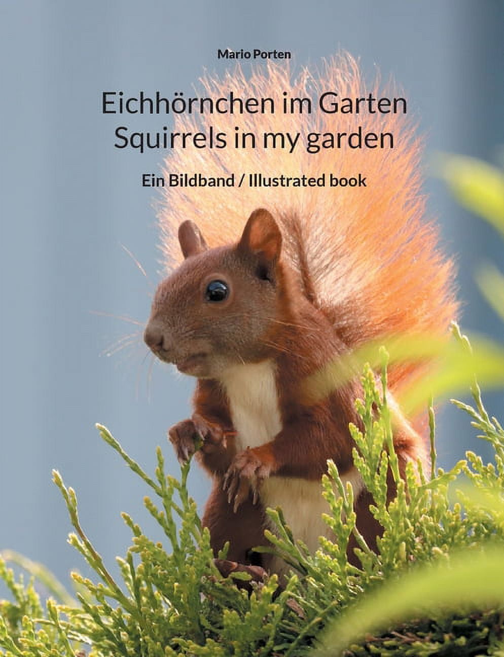 Eichhrnchen Fttern Verboten
