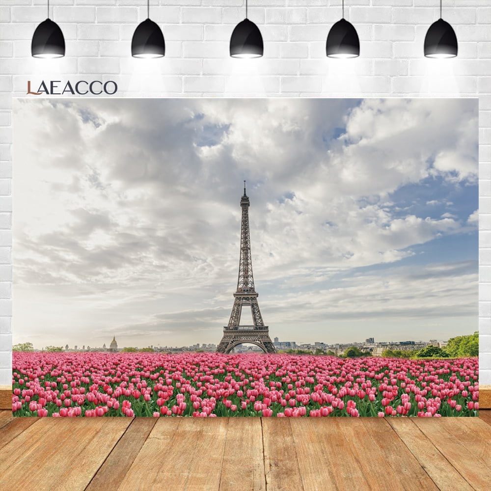 Eiffel Tower Photography Backdrops City Landscape Balcony Overlook ...