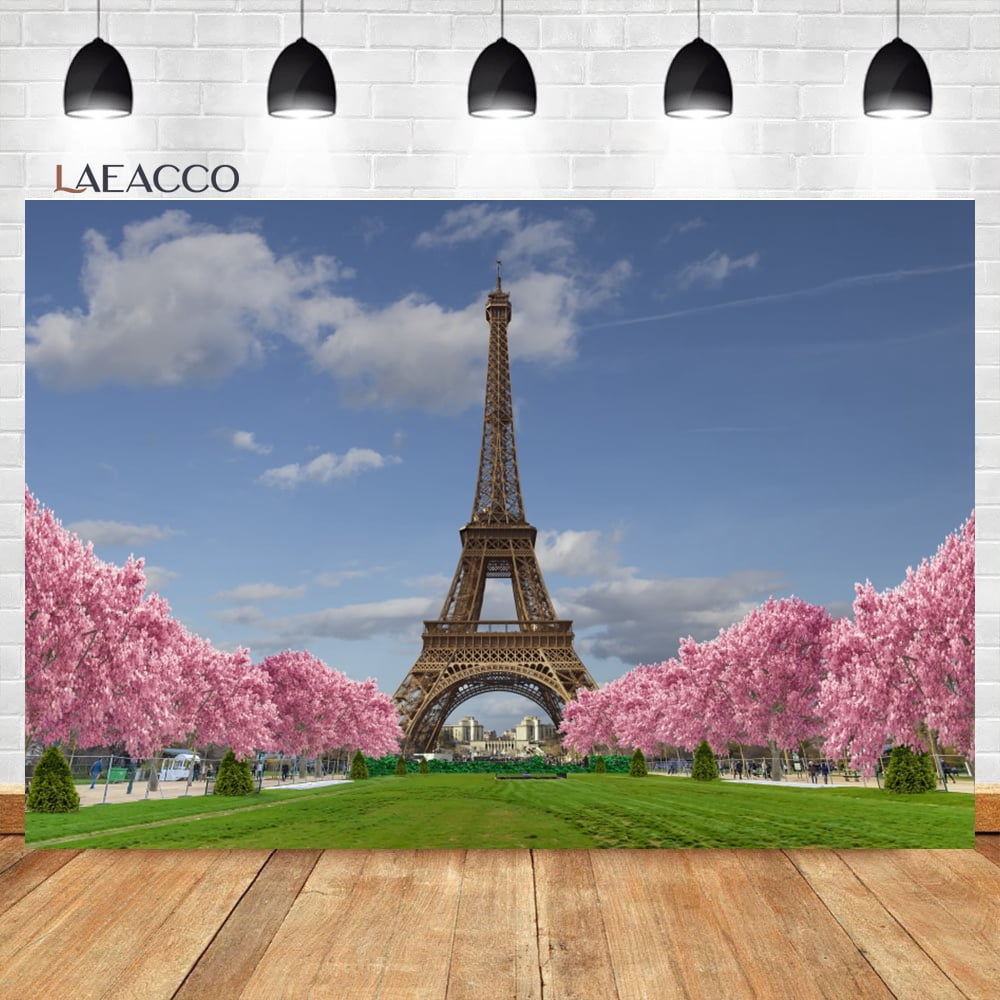 Eiffel Tower Photography Backdrops City Landscape Balcony Overlook ...
