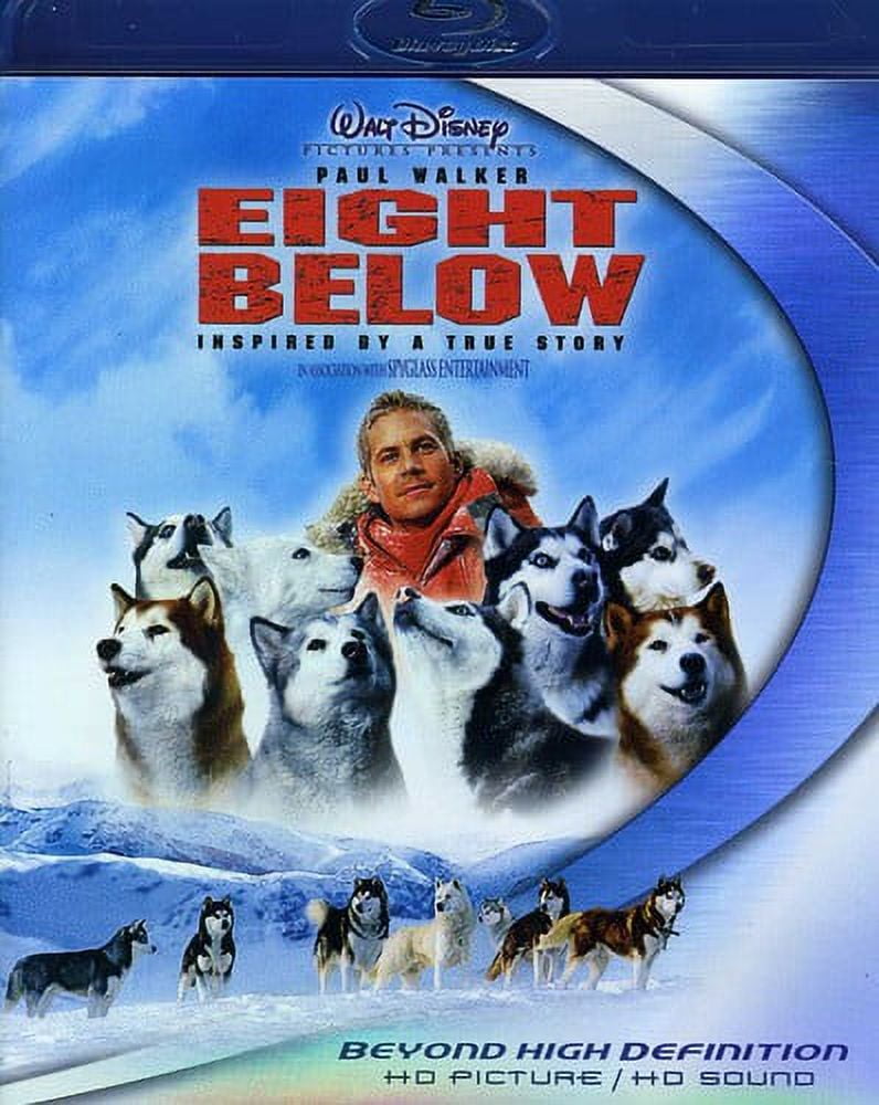 Pre-Owned Eight Below (Blu-ray) - Walmart.com