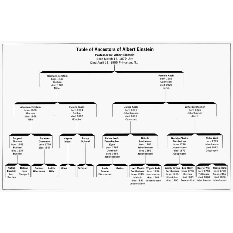 Albert Einstein Family