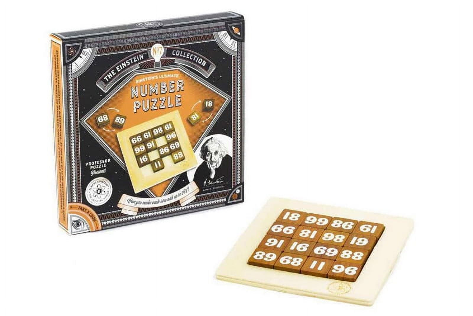 Einsteins Number Puzzle 3D Brain Teaser Puzzle - Walmart.com