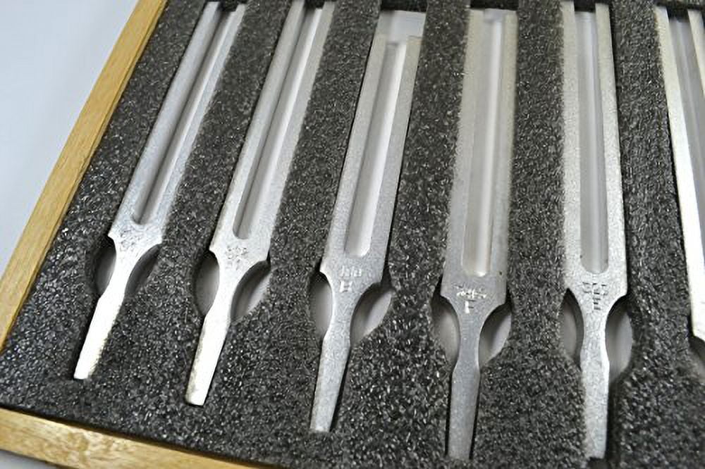 Eisco Labs 13 Piece Aluminum Tuning Fork Set in Wooden Case - Walmart.com