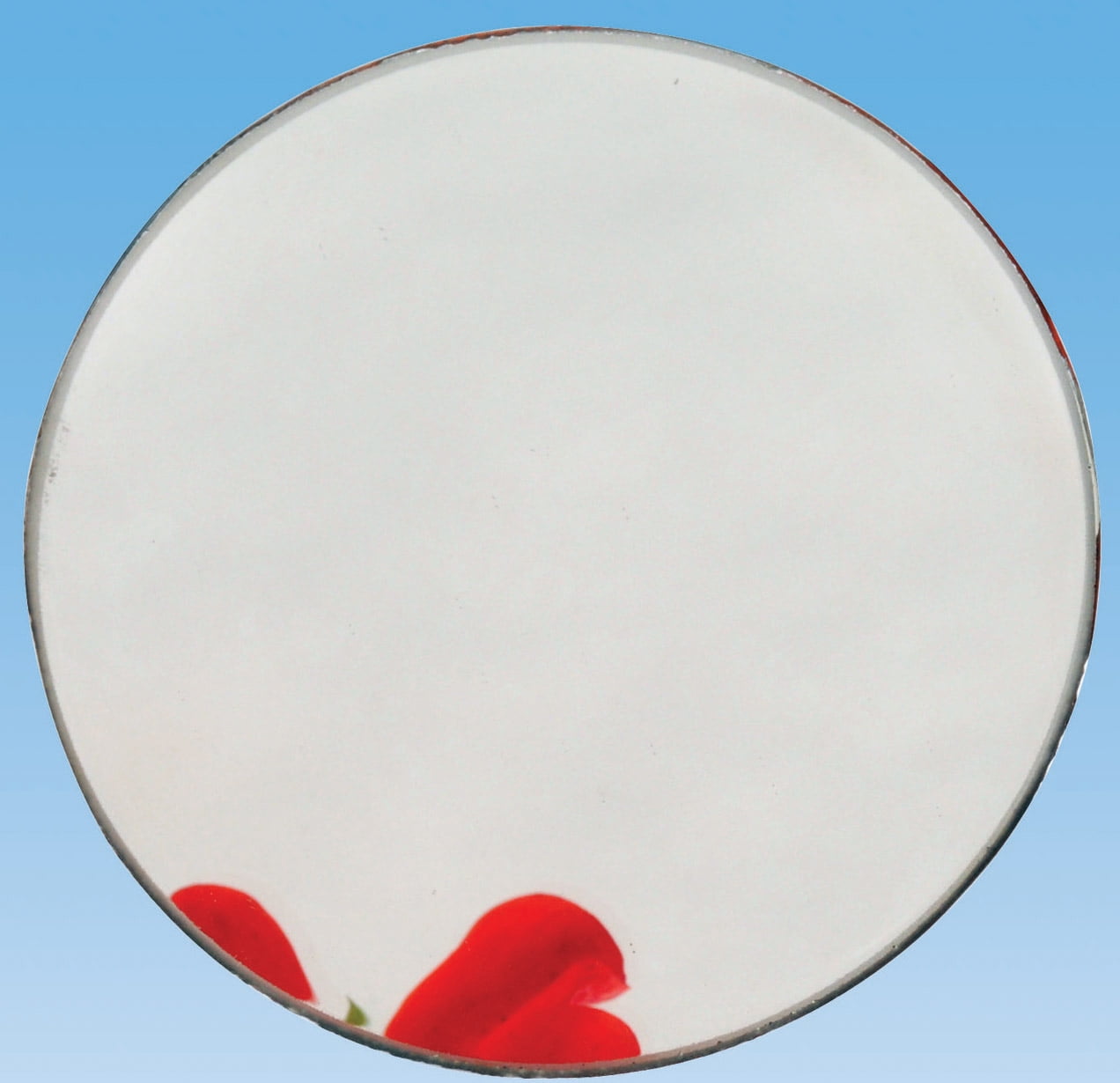 Small Concave Mirror