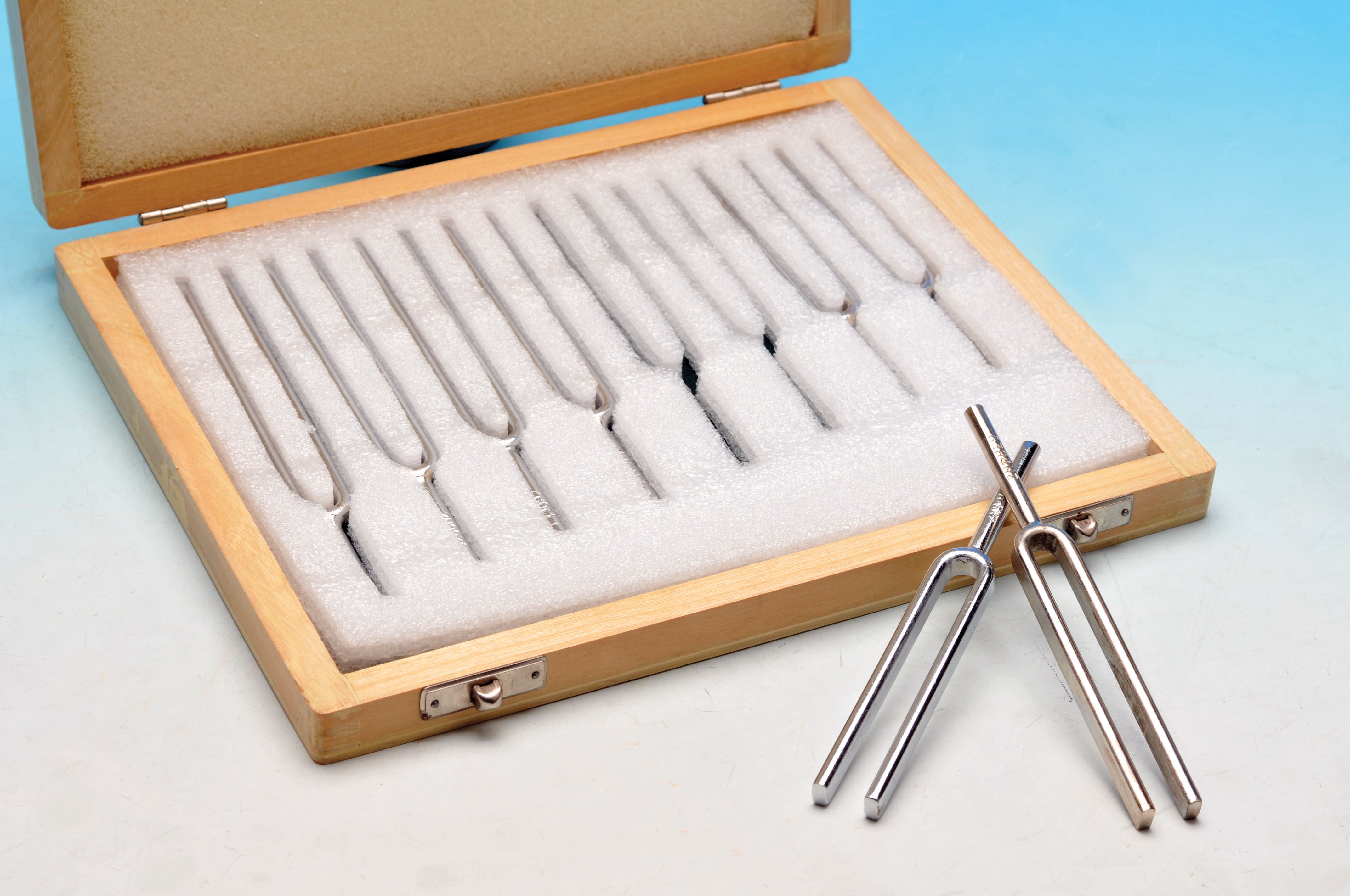 Eisco Labs Scientific Steel Tuning Forks, Set of 8 (Scientific Pitch ...