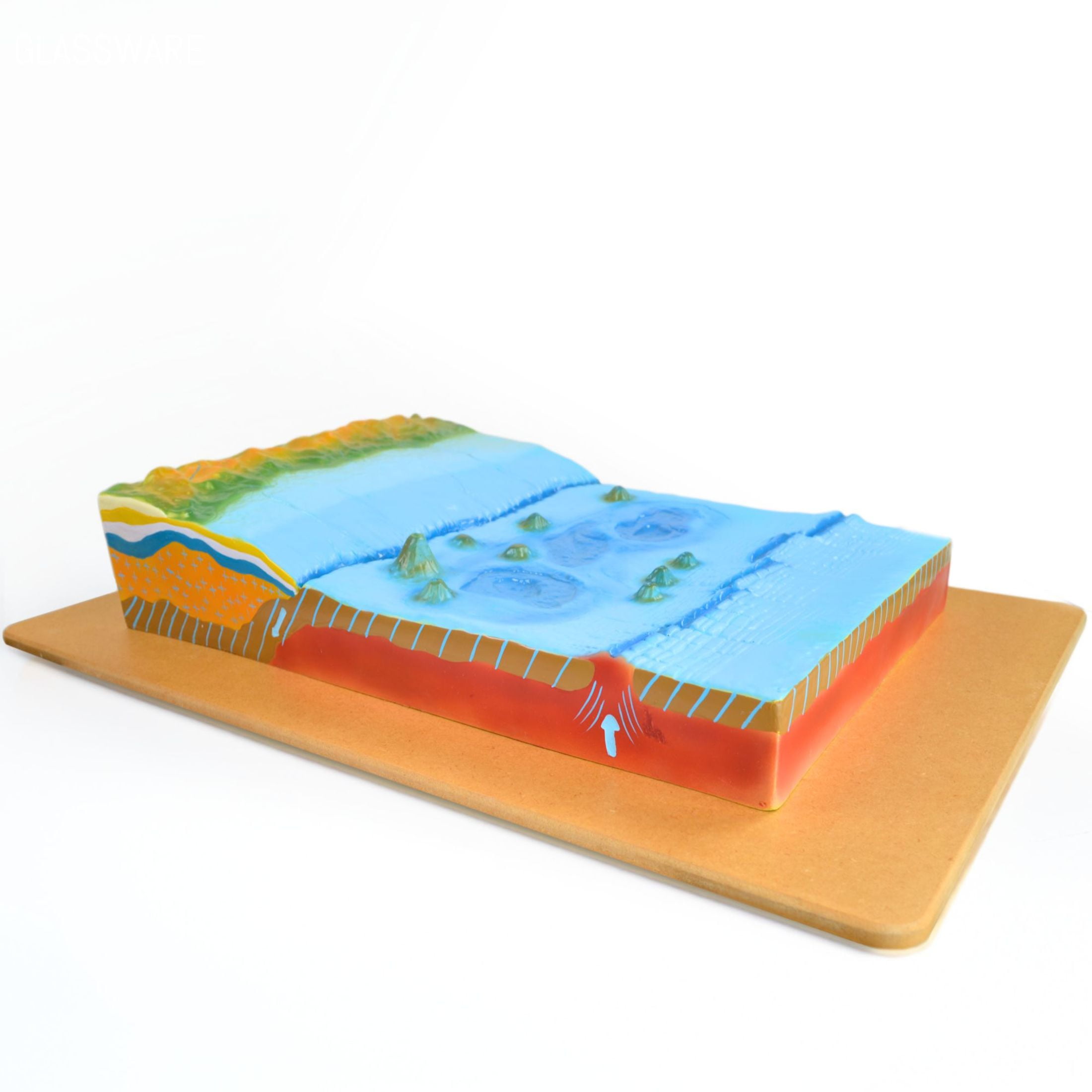 Eisco - Sea Bottom Counter Model with Labeled Features - Wall Mountable ...