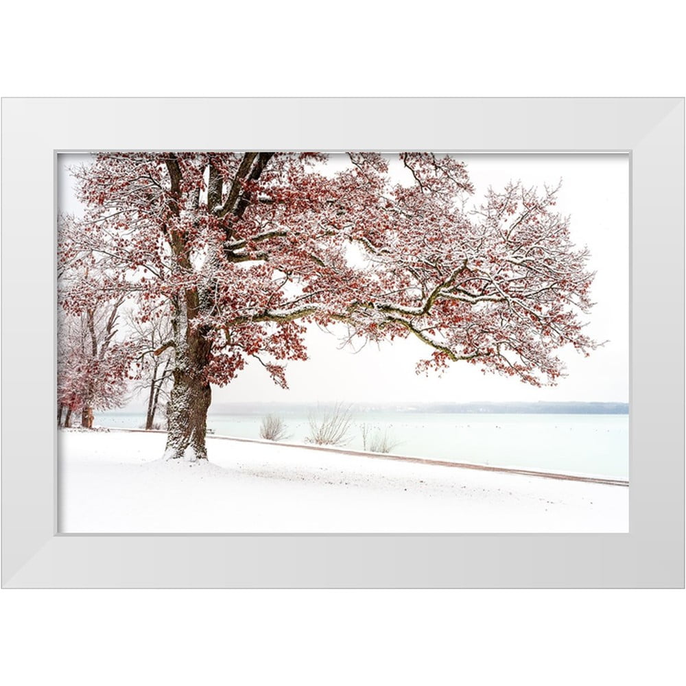 Eisenmann, Ulrike 14x11 White Modern Wood Framed Museum Art Print Titled - Winter is coming ...