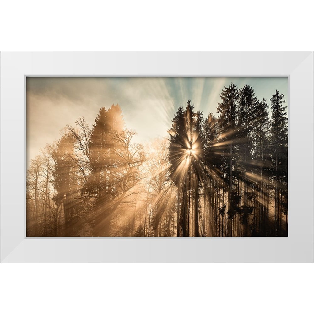 Eisenmann, Ulrike 18x13 White Modern Wood Framed Museum Art Print Titled - Fading away - Walmart.com