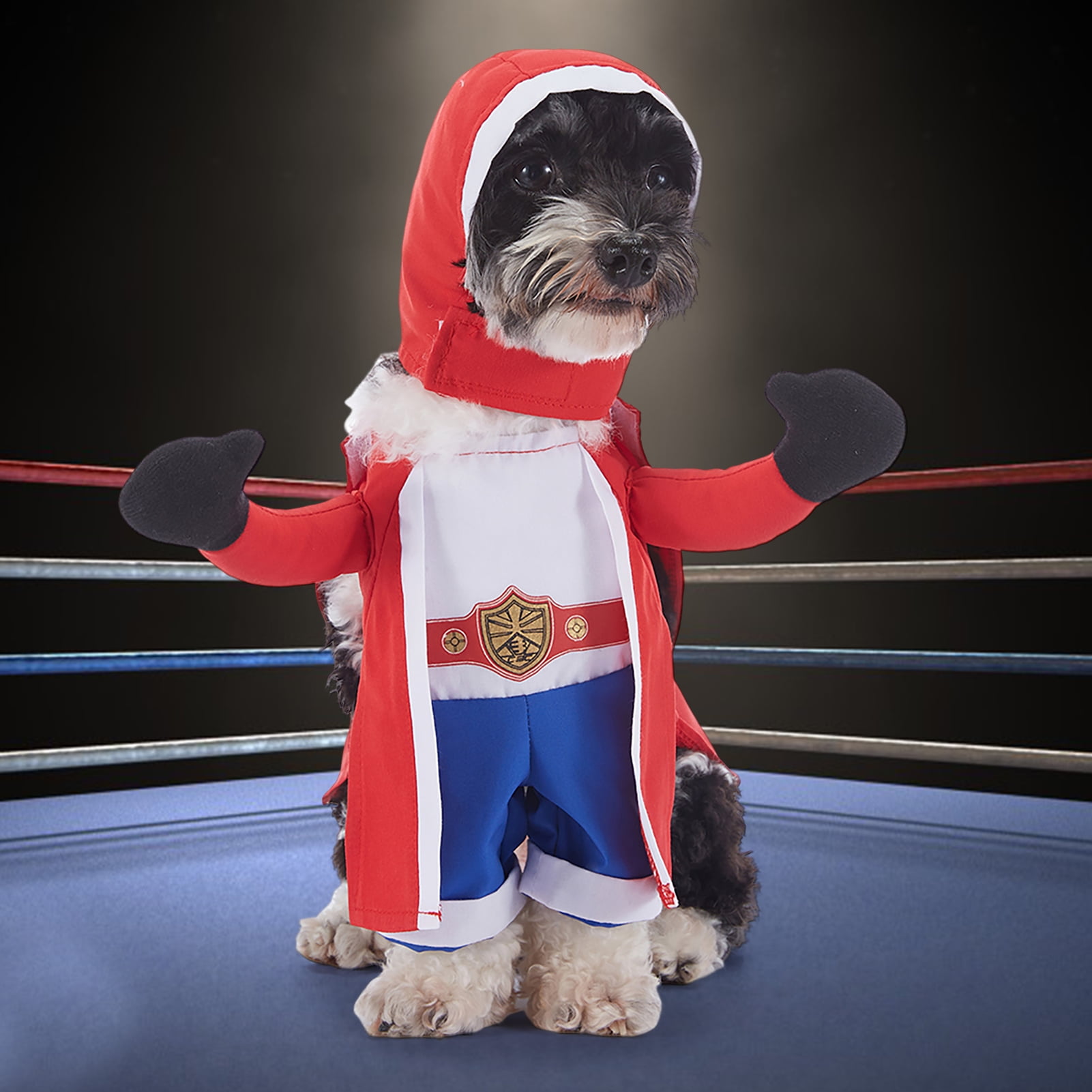 Eisoary 1 Set Pet Halloween Costume Easy to Wear Unique Funny Cute Dog ...