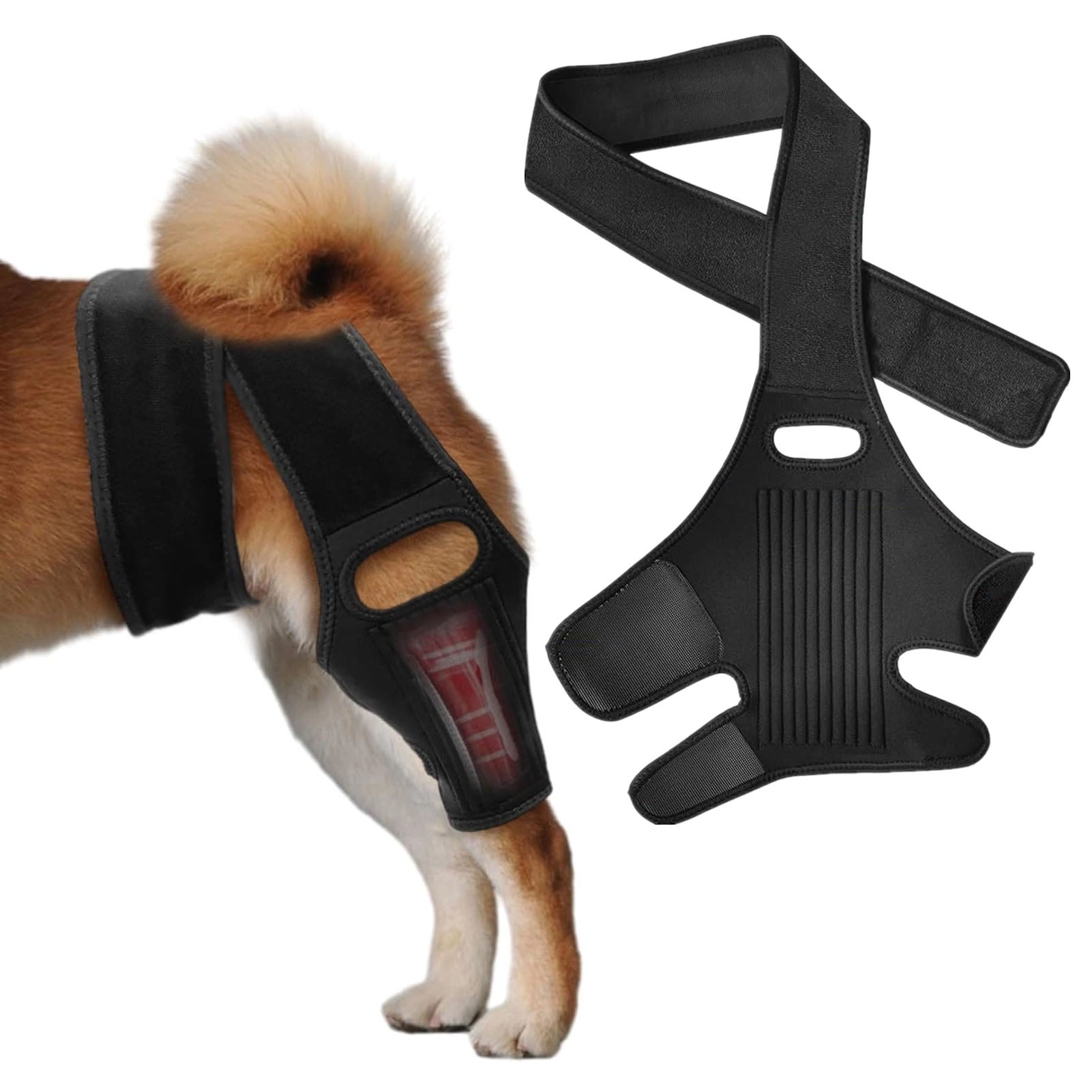 Eisoary Dog Knee Brace for Torn Acl Hind Leg Dog Leg Braces for Back ...