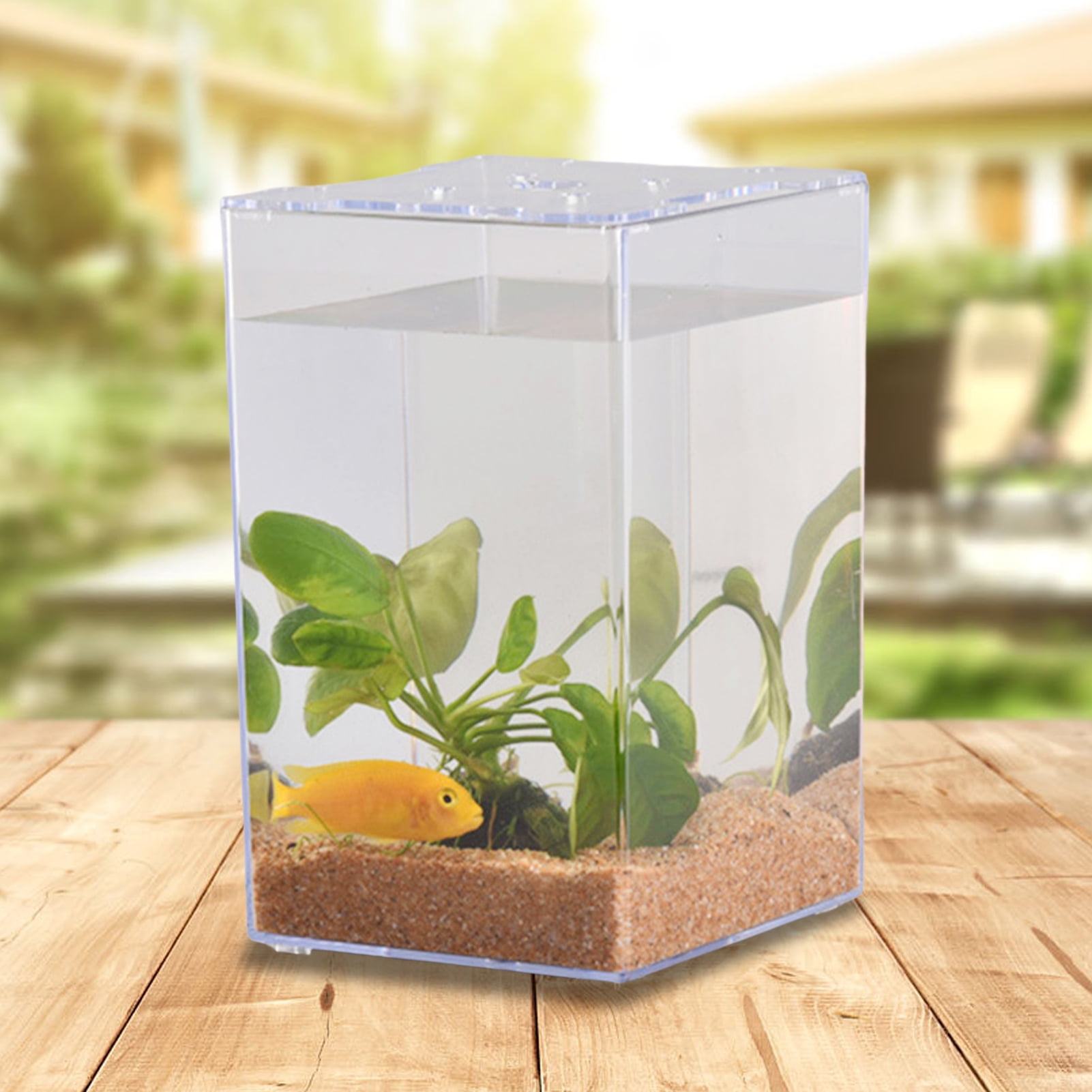 Eisoary Fish Tank with Lid Transparent Acrylic Fighting Fish Small ...