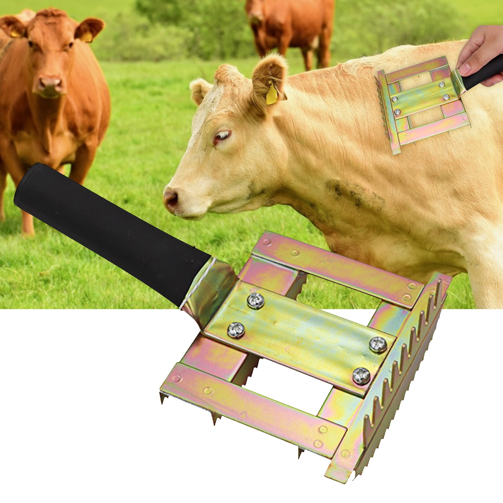 Eisoary Grooming Brush Antipruritic Corrosive Resistant Ergonomic ...