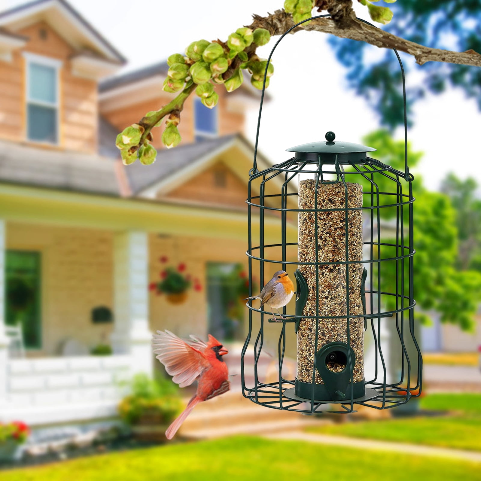 Eisoary Hanging Caged Bird Feeder Squirrel Proof Chew Proof Rust Proof ...