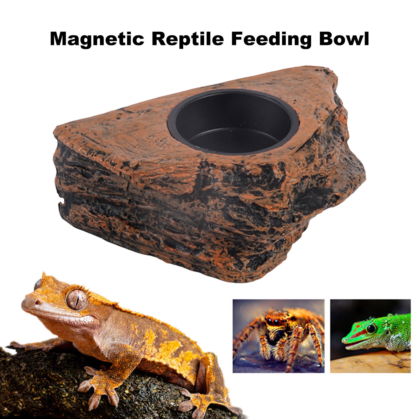Eisoary Magnetic Reptile Feeding Ledge Hanging Small Animals Food Water ...
