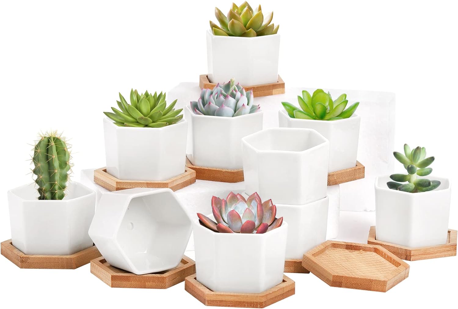 Ejiaya 10 Pack Mini Succulent Plant Pots, 2.76 inch Hexagonal White ...