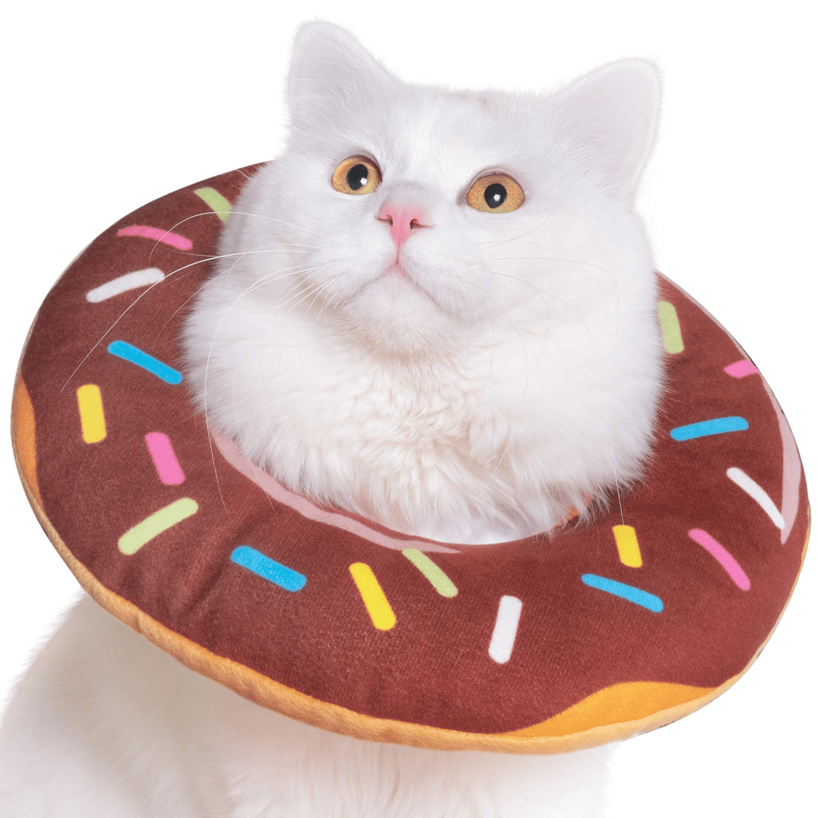Ejiaya Cat Cone Collar Soft, Cat Recovery Collar for Wound Healing Cute ...